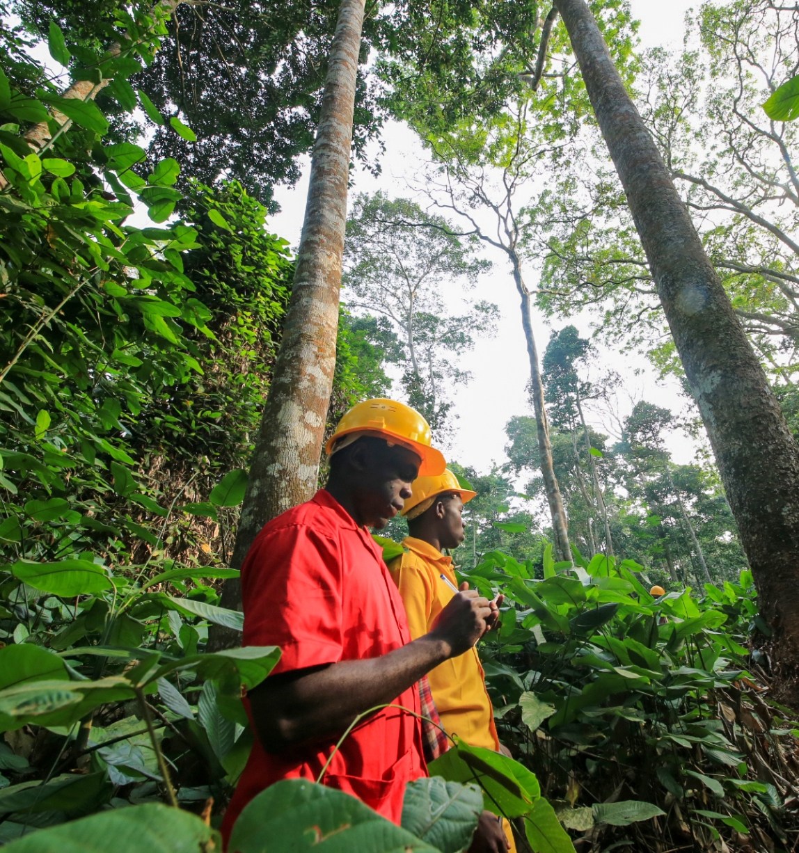 FSC Core Labour Requirements ‘Question and Answer’ Document Available | fsc.org